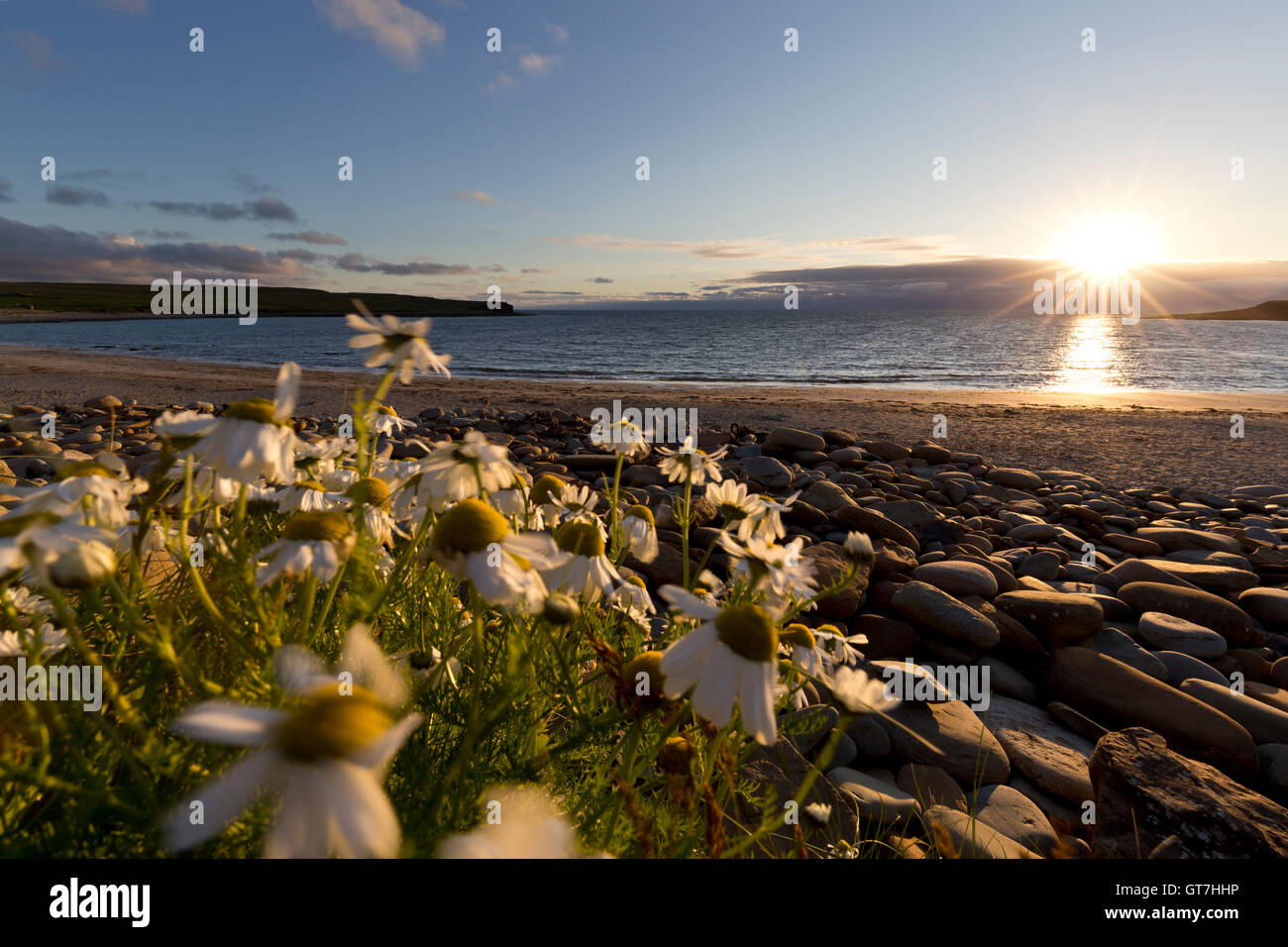 Orkney skaill beach hi-res stock photography and images - Alamy