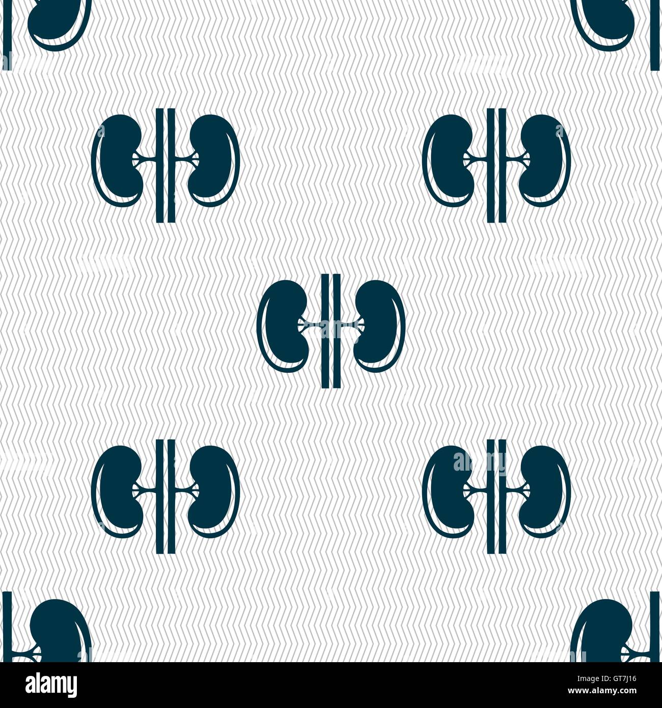 Kidneys outline hi-res stock photography and images - Alamy