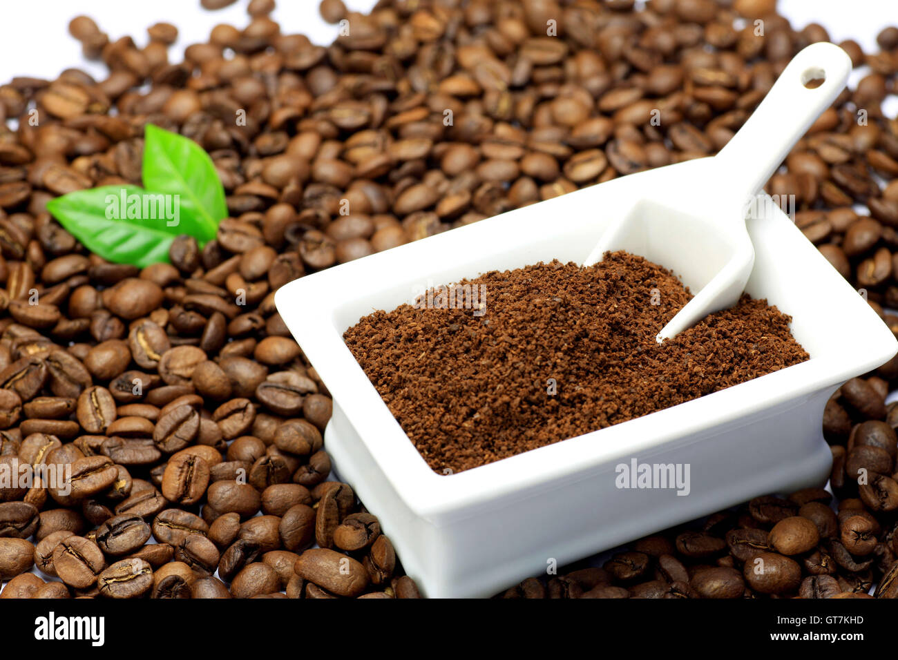 Seed of the coffee plant hi-res stock photography and images - Alamy