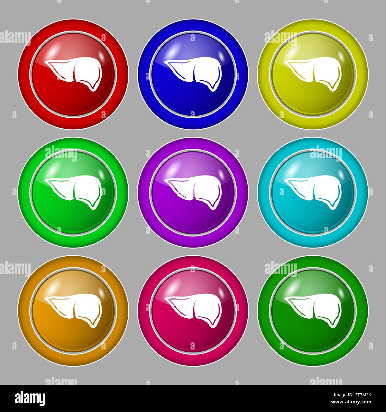 Liver icon sign. symbol on nine round colourful buttons. Vector Stock ...