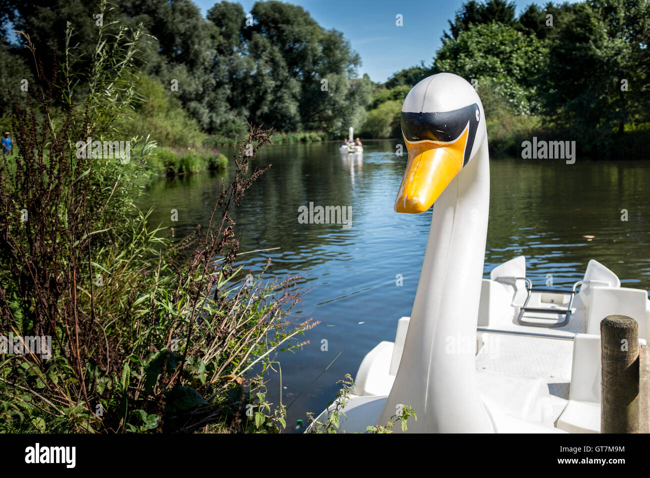 Swan pedalo on a lake in a UK country park Stock Photo - Alamy