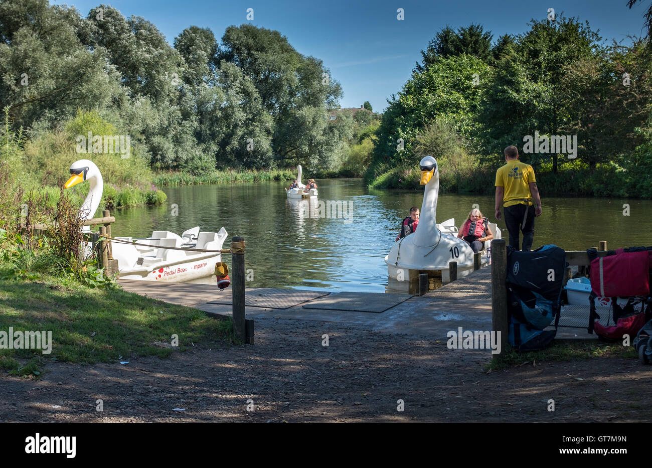 Swan pedalo on a lake in a UK country park Stock Photo - Alamy