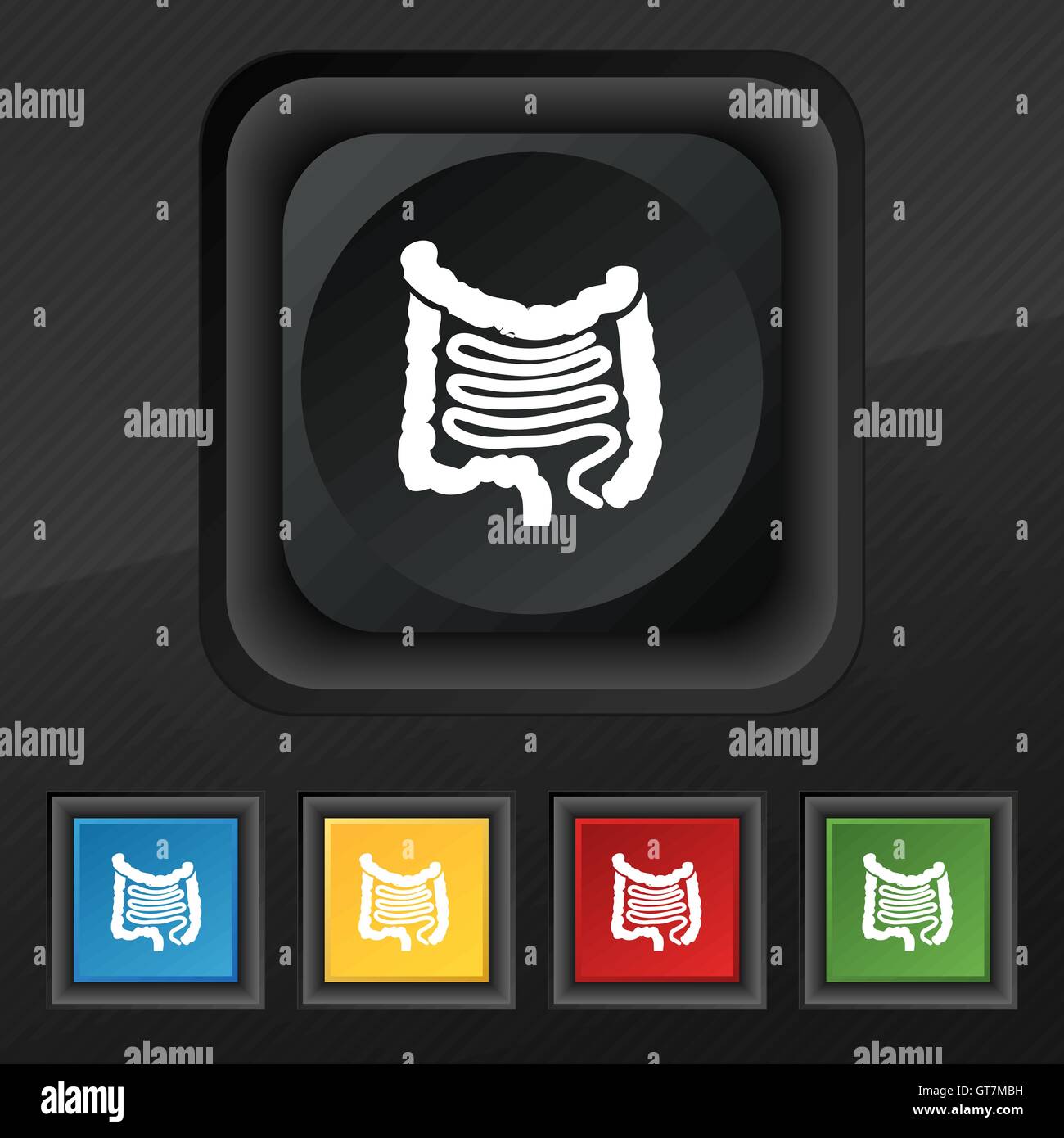 Large intestine black background hi-res stock photography and images ...