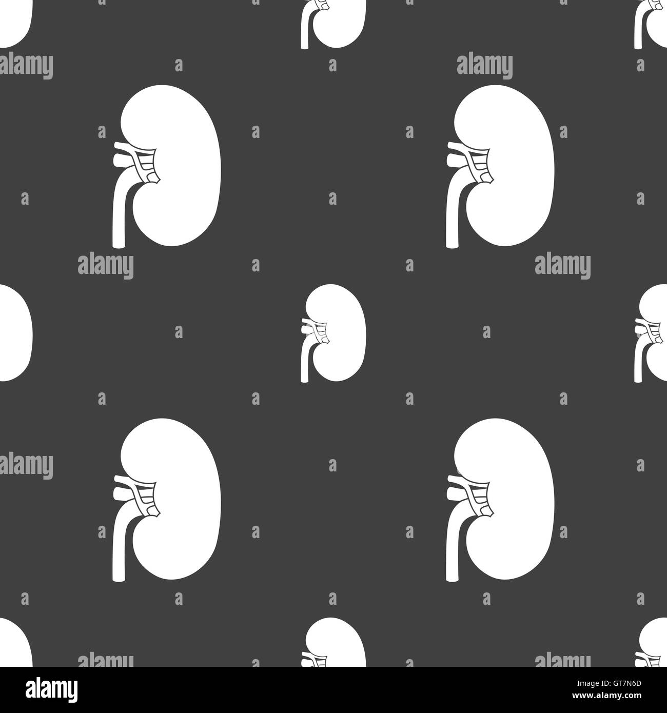 Kidney sign. Seamless pattern on a gray background. Vector Stock Vector ...