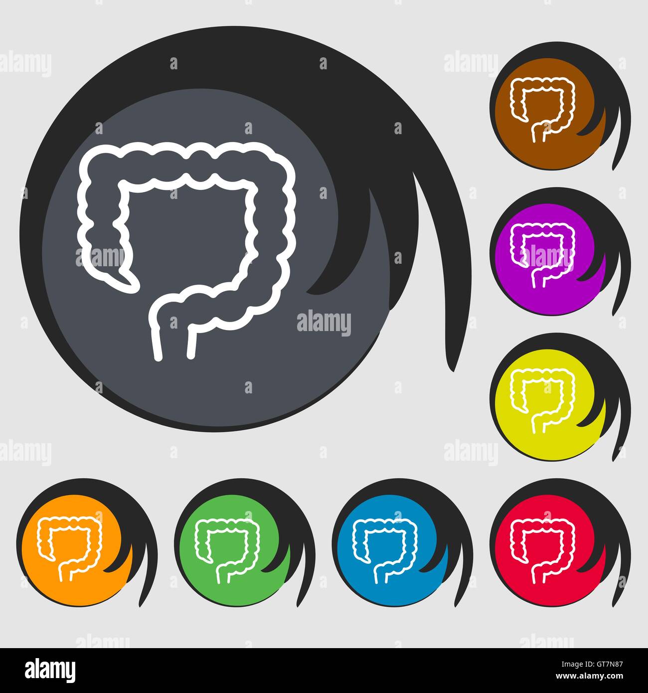 large intestine sign icon. Symbols on eight colored buttons. Vector ...
