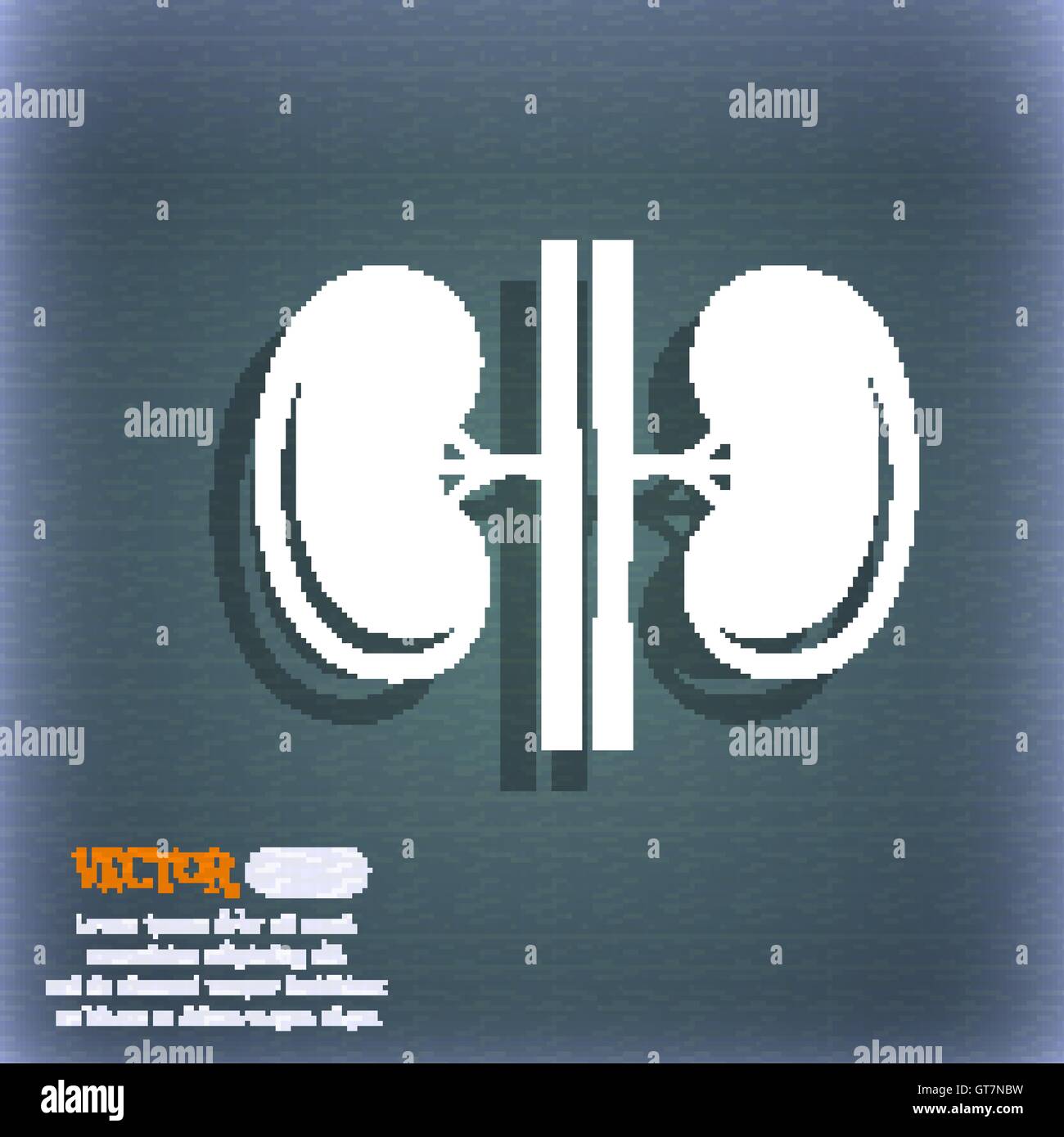 Kidneys icon. On the blue-green abstract background with shadow and ...