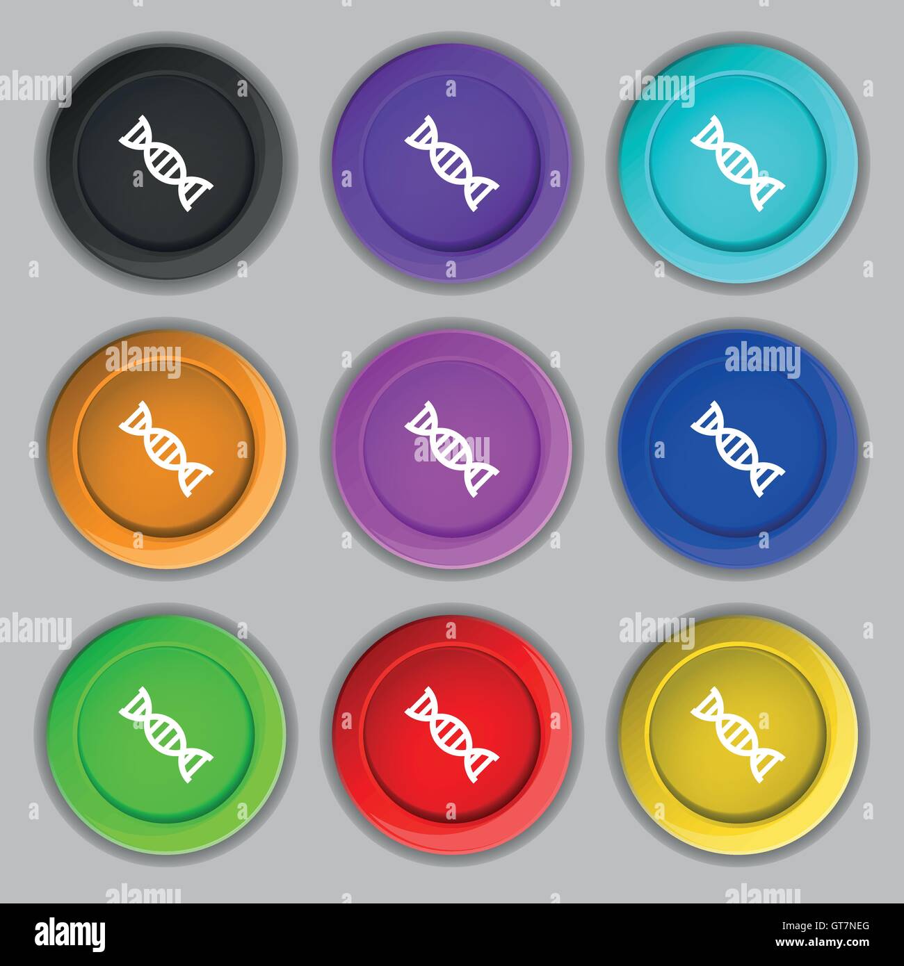 DNA icon sign. symbol on nine round colourful buttons. Vector Stock ...