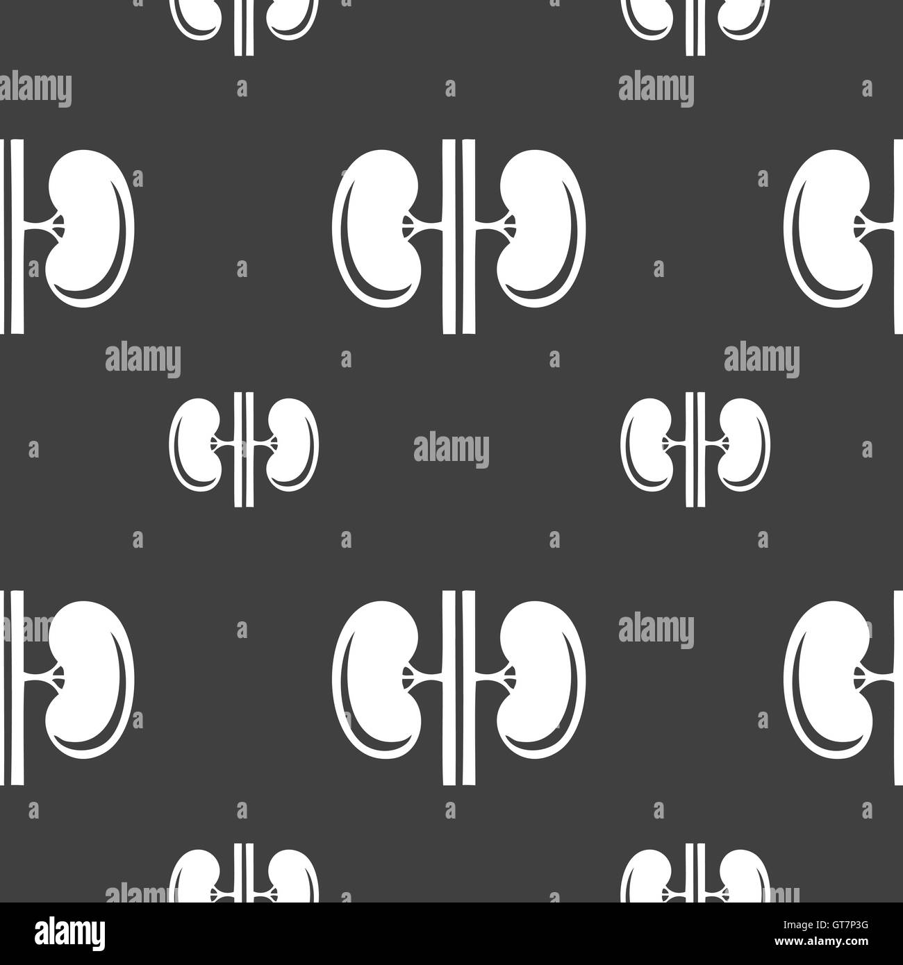 Kidneys Black and White Stock Photos & Images - Alamy