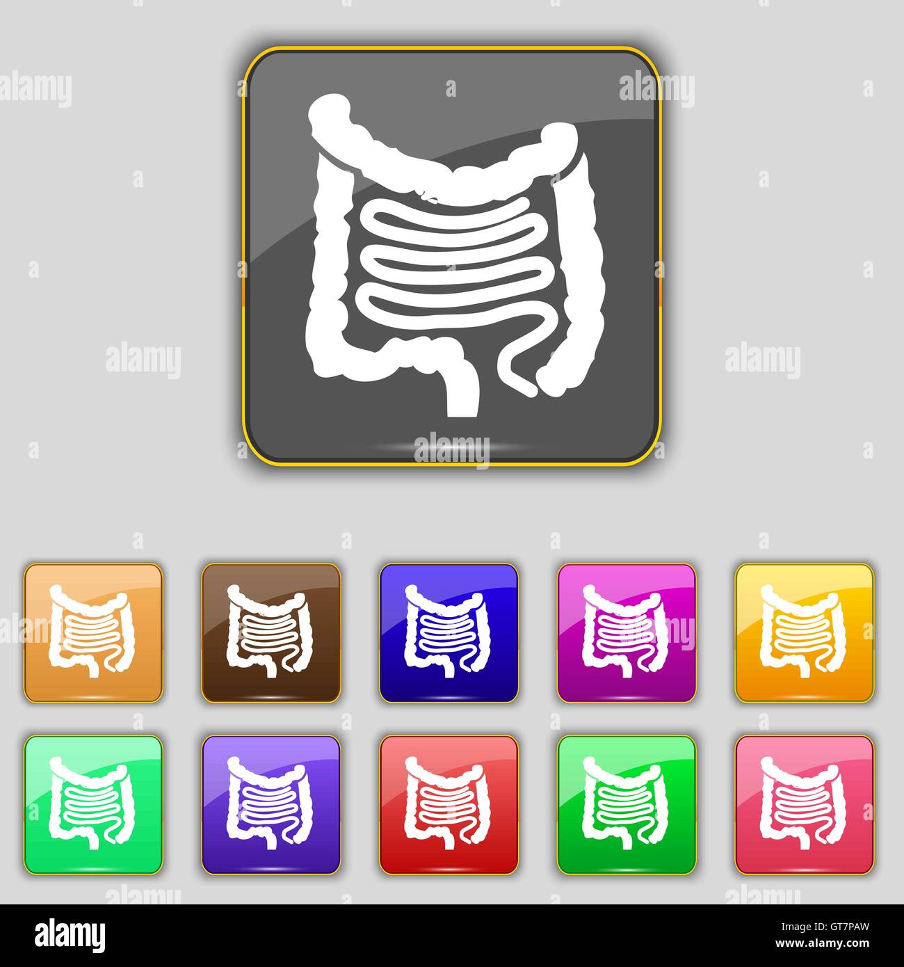 Intestines icon sign. Set with eleven colored buttons for your site ...