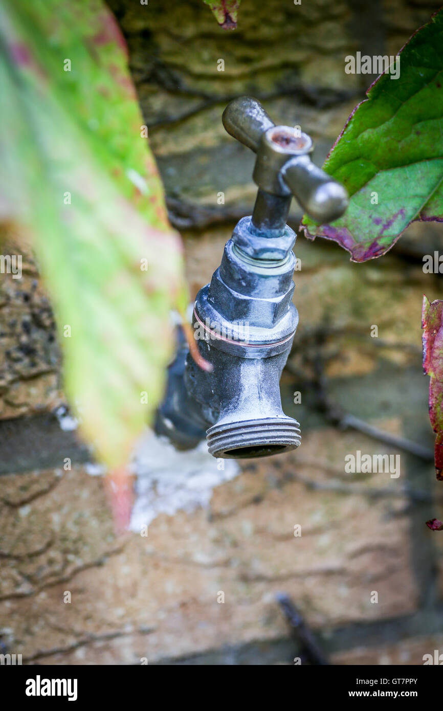 Garden taps hi-res stock photography and images - Alamy