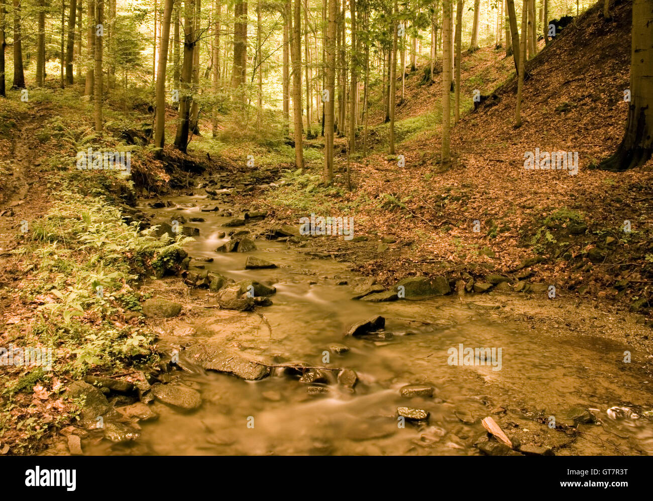 Nature photography of a beautiful little river in a mountains Stock ...