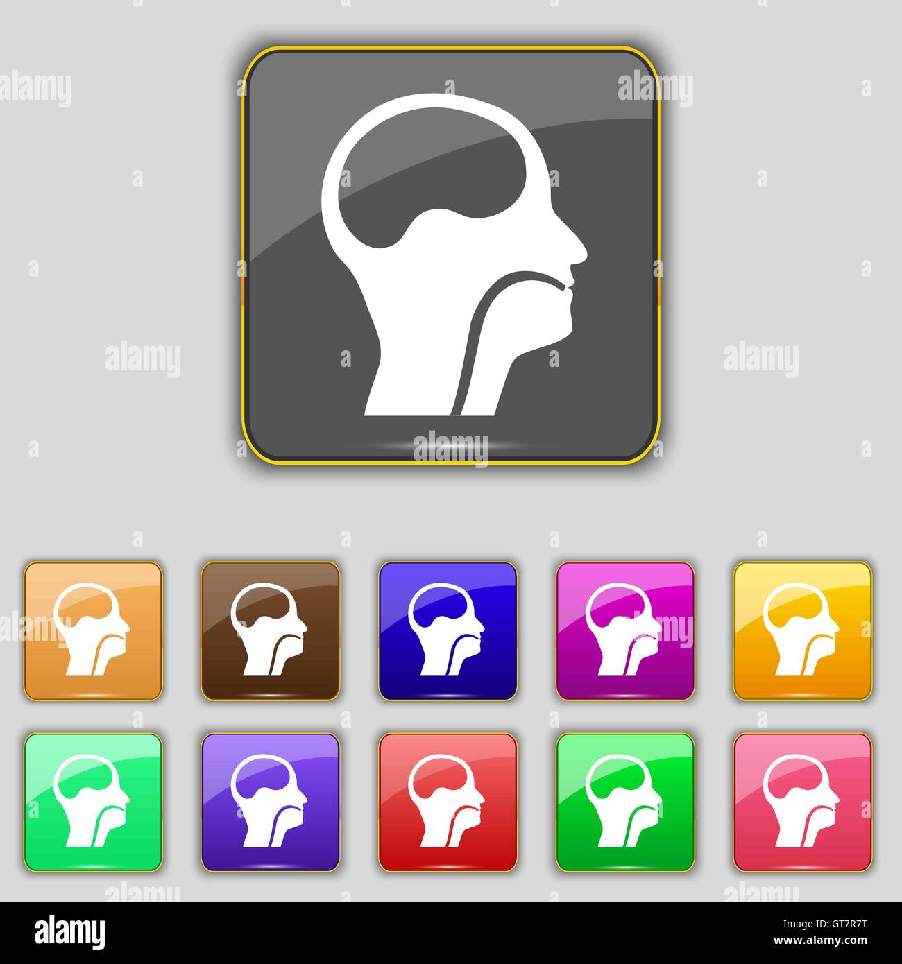 larynx, Medical Doctors Otolaryngology icon sign. Set with eleven ...