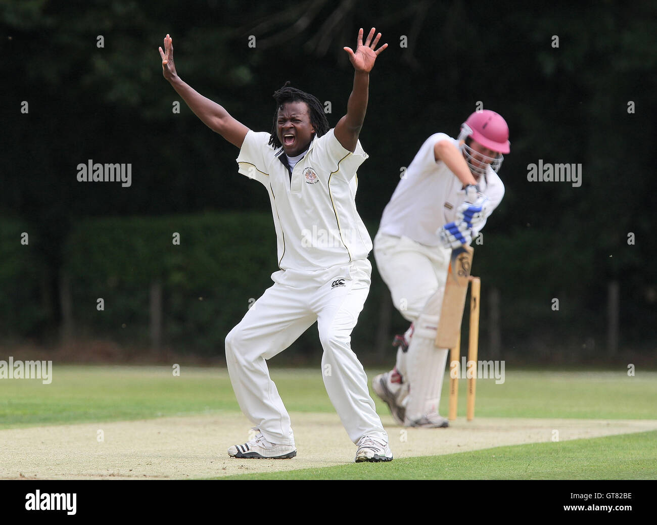 Brentwood cc hi-res stock photography and images - Alamy