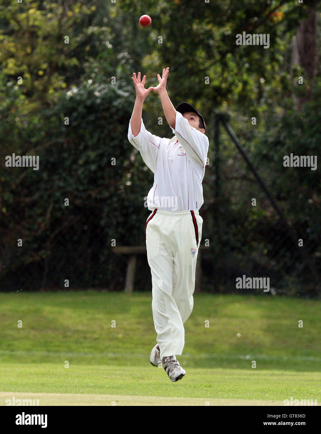 M Wade takes a catch to dismiss A Banerjee from the bowling of D Kiff ...
