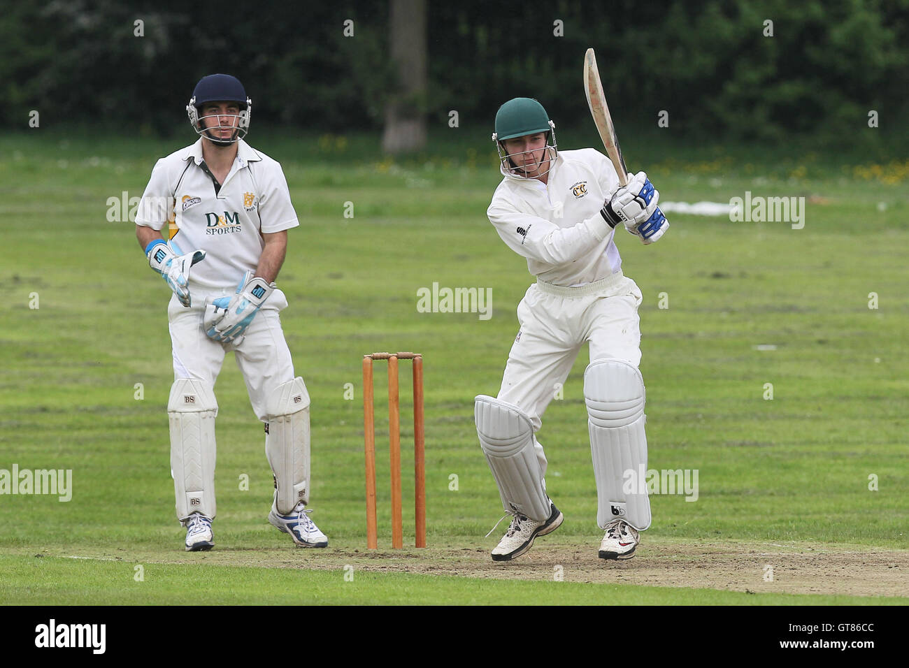 Bull cricket hi-res stock photography and images - Alamy