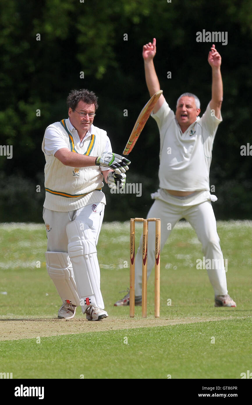 A big appeal for the wicket of C Low of Harold Wood - Harold Wood CC ...