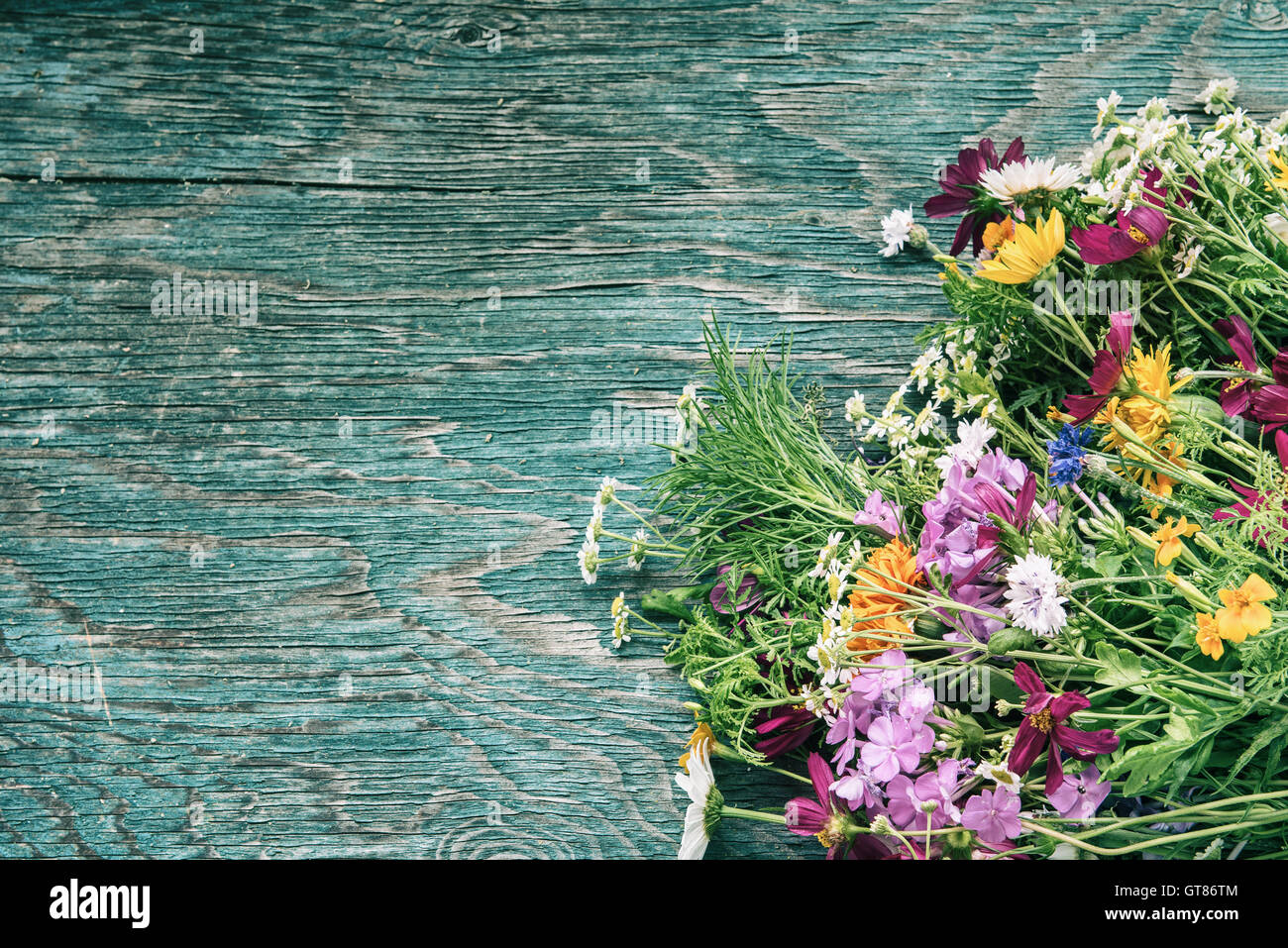 Summer flowers mock up Stock Photo - Alamy