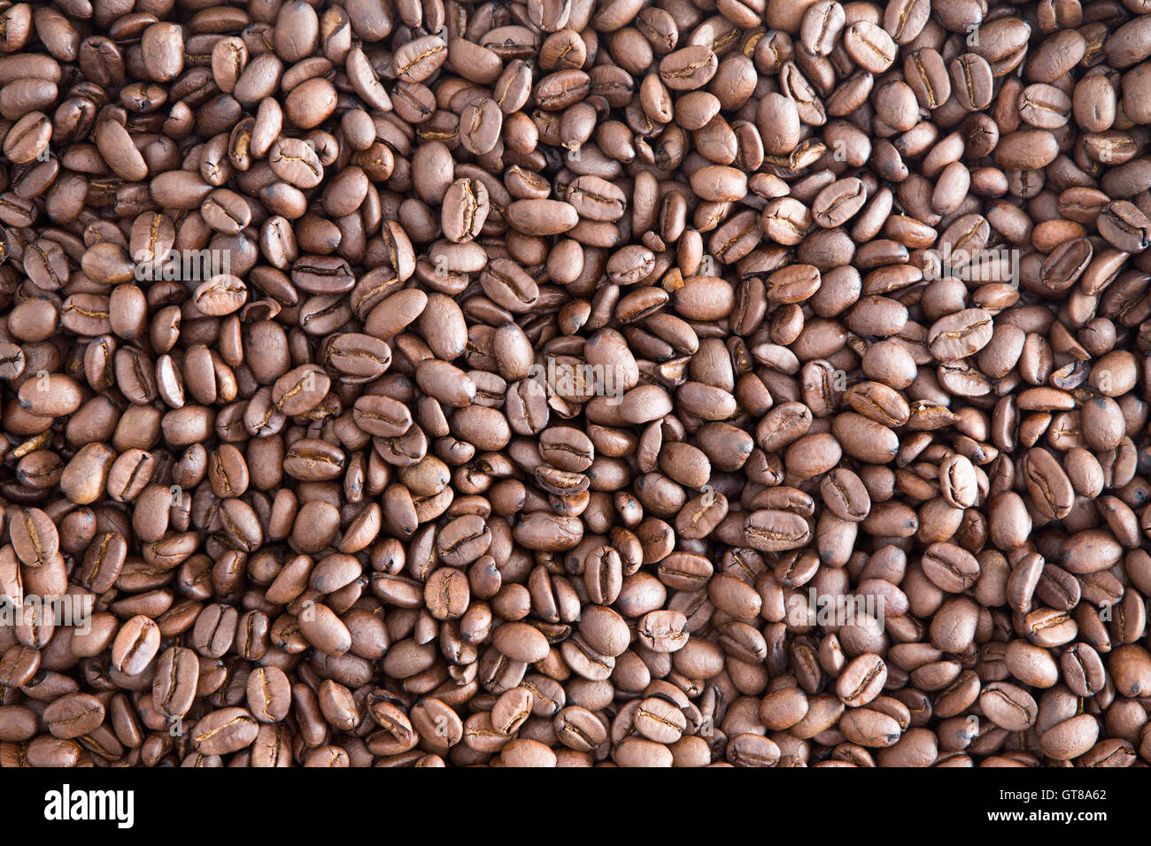 Background texture of roasted brown coffee beans ready for grinding for ...