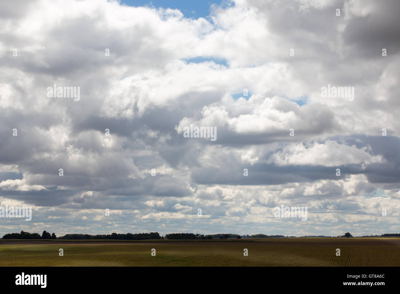 Cornfields midwest hi-res stock photography and images - Alamy