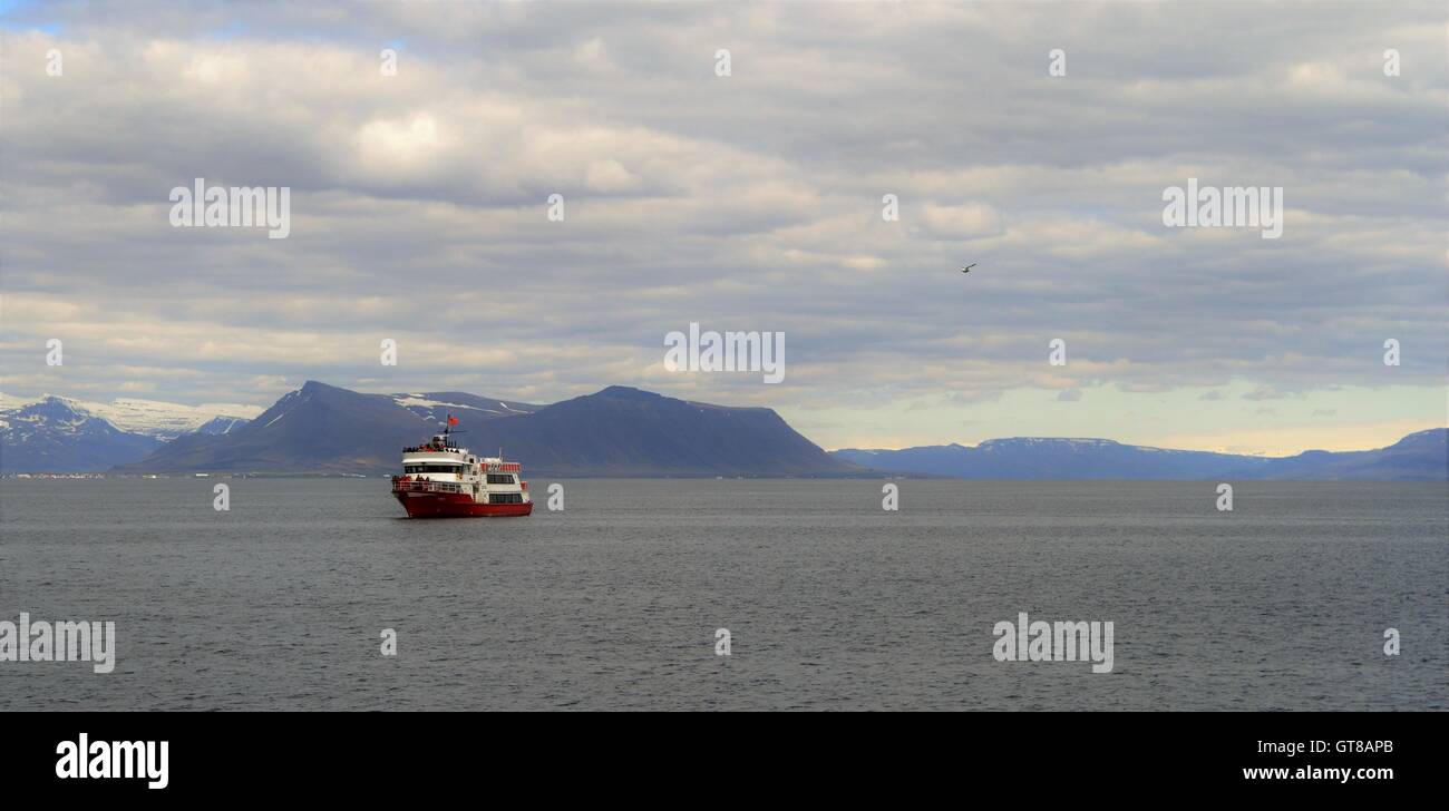 Iceland landscape with ferry hi-res stock photography and images - Alamy