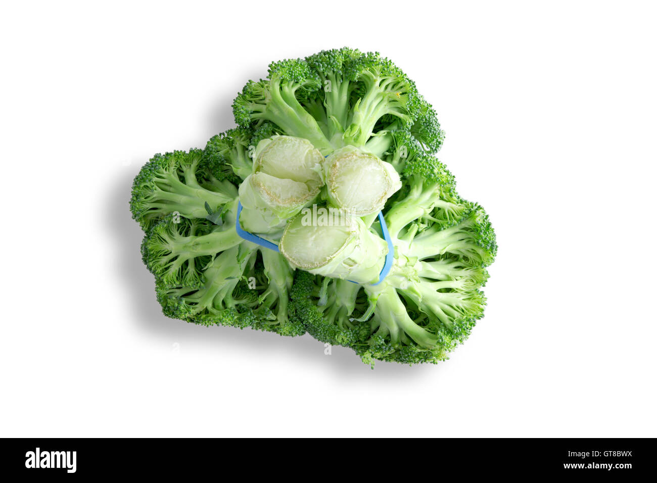 Bunch of fresh broccoli viewed from below showing the structure of the ...