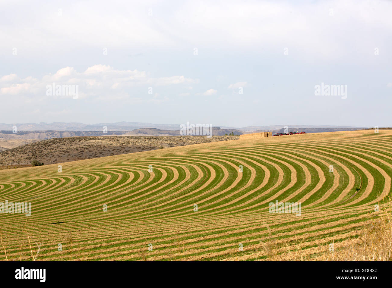 Center pivot irrigated farm showing a sloping field with alternating ...