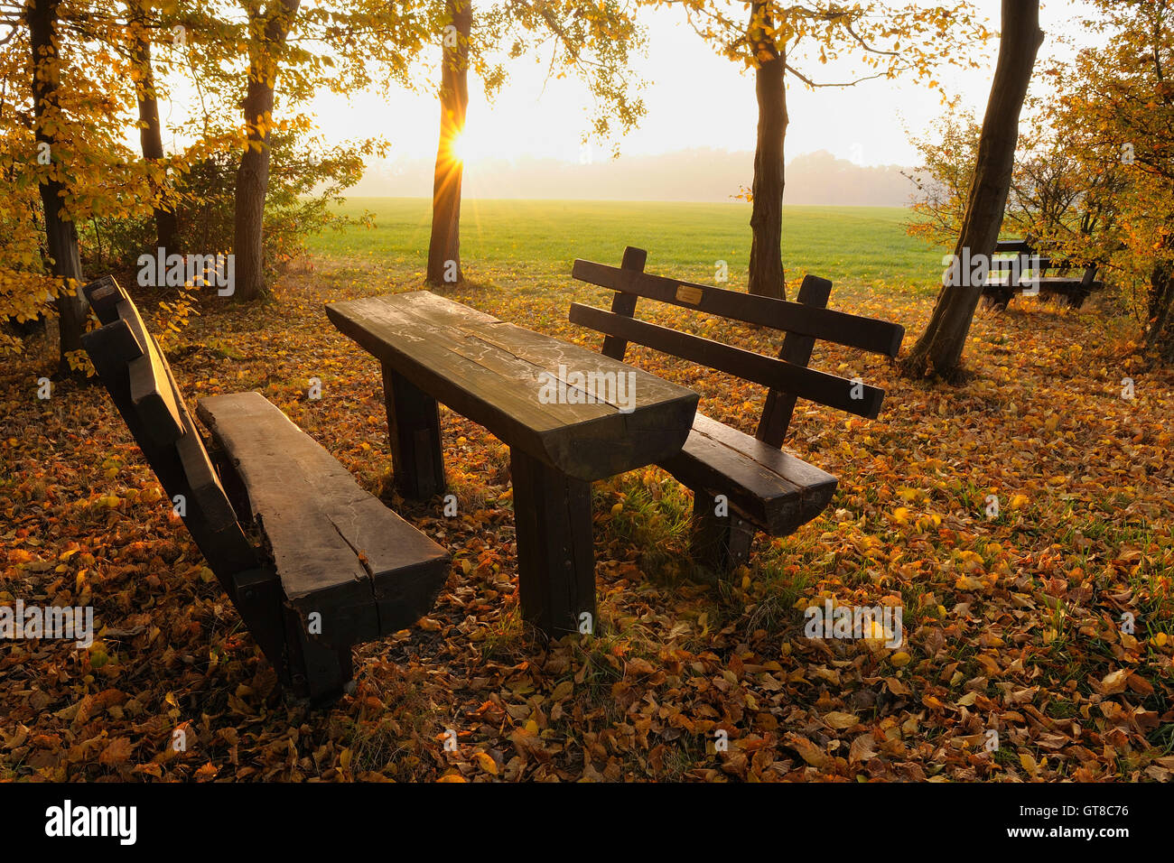 Rising sun picnic area hi-res stock photography and images - Alamy