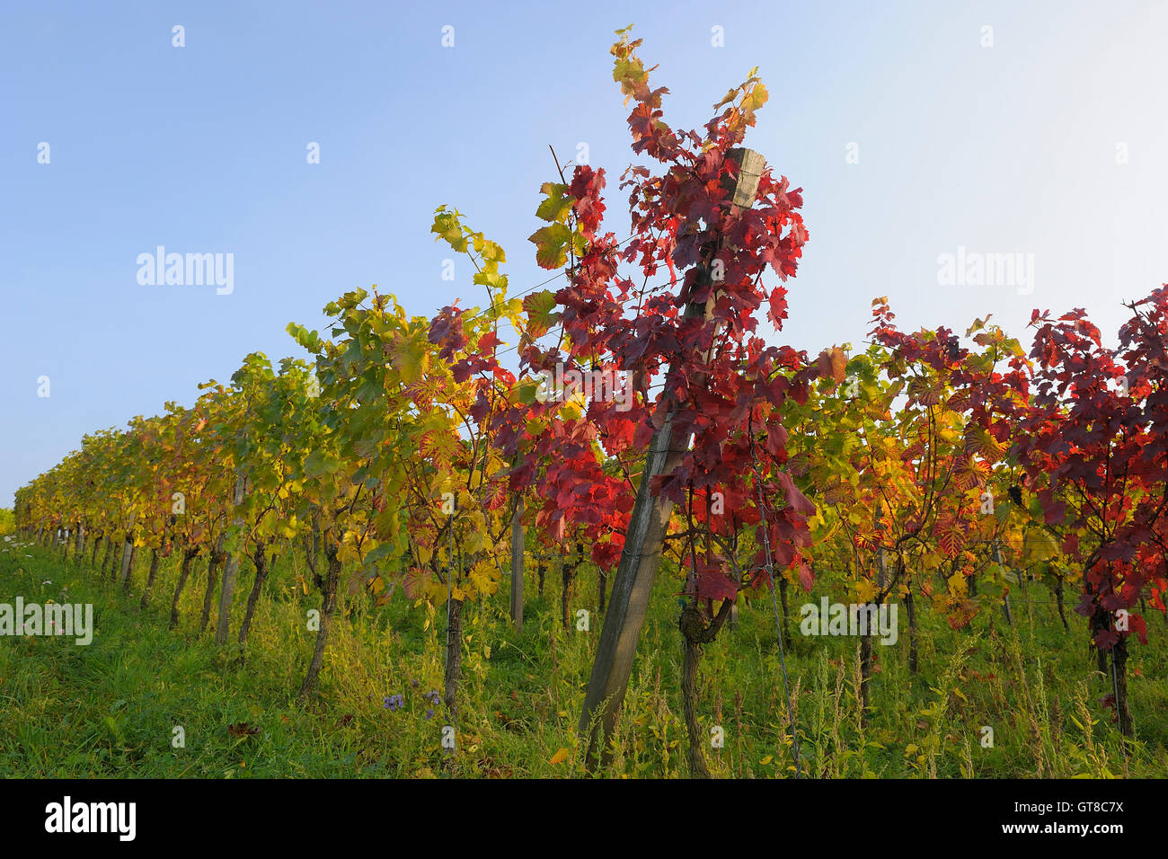 Franconia bavaria autumn hi-res stock photography and images - Alamy