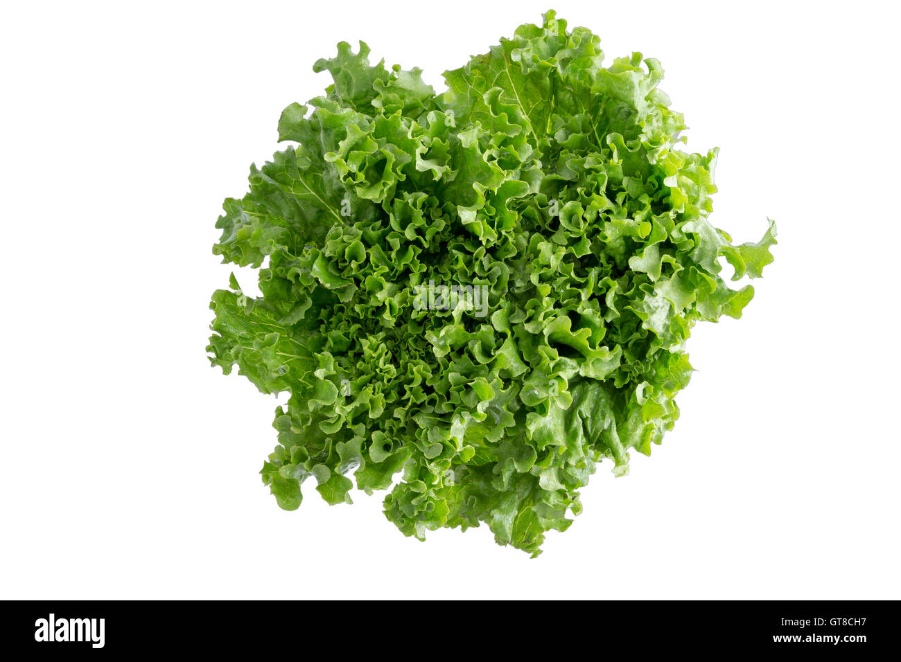 Crispy fresh lettuce hi-res stock photography and images - Alamy