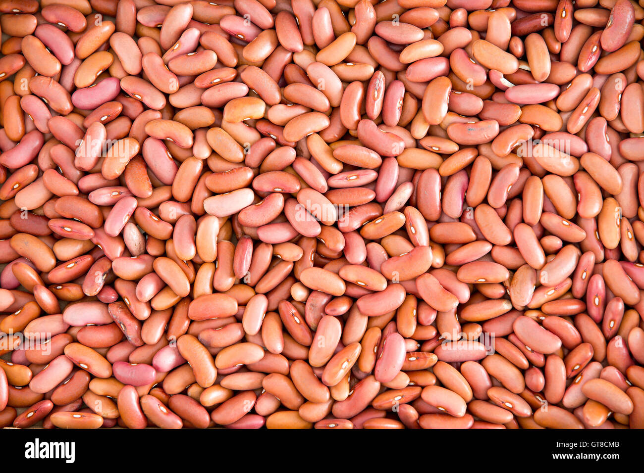 Close up Plenty of Light Red Dry Kidney Beans for Wallpaper Backgrounds ...