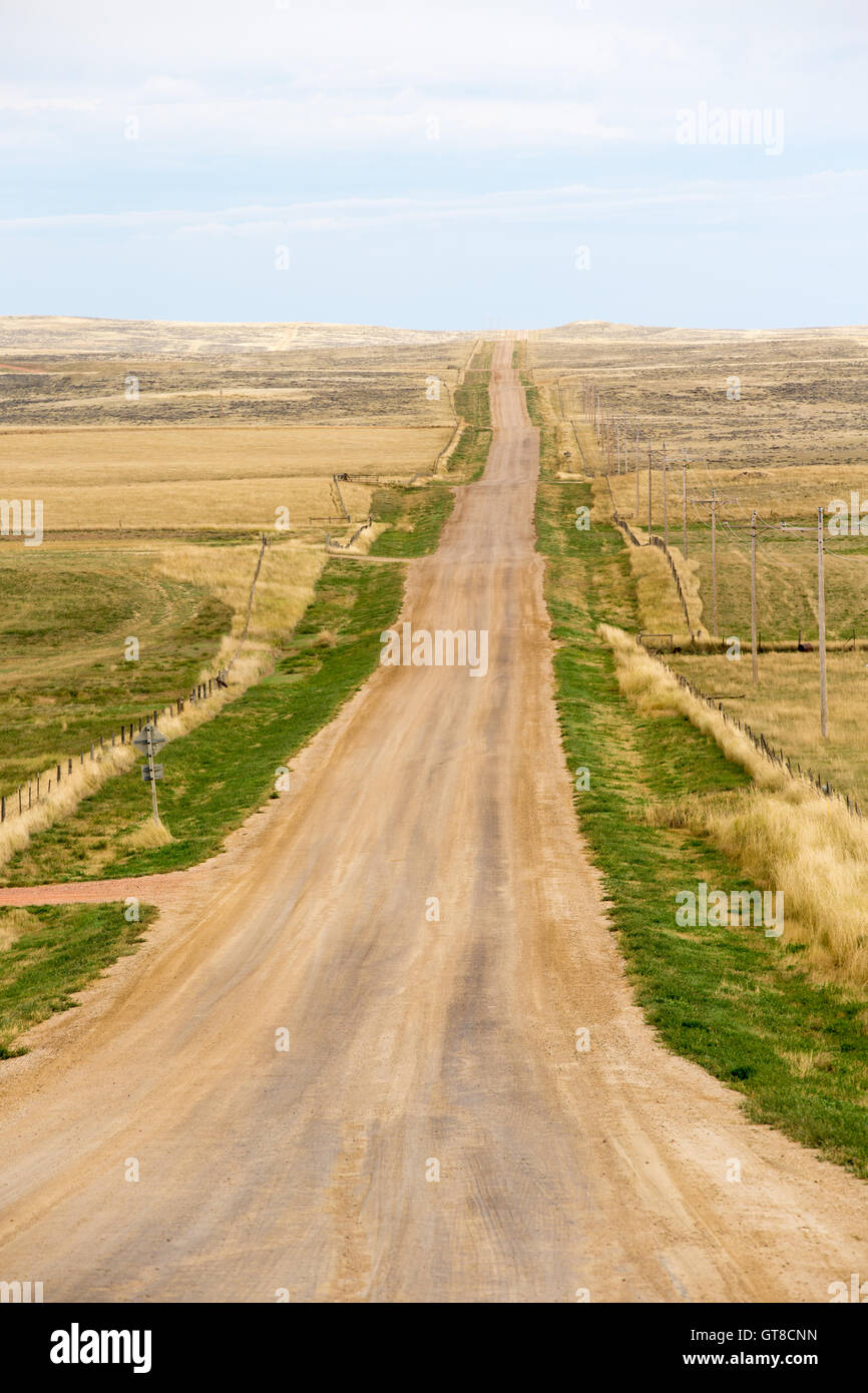 Long straight deserted dirt road in North Carolina, America ...