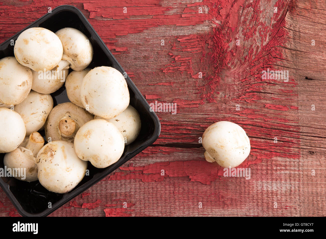 Punnet of fresh white button mushrooms, Agraicus bisporus, a popular ...