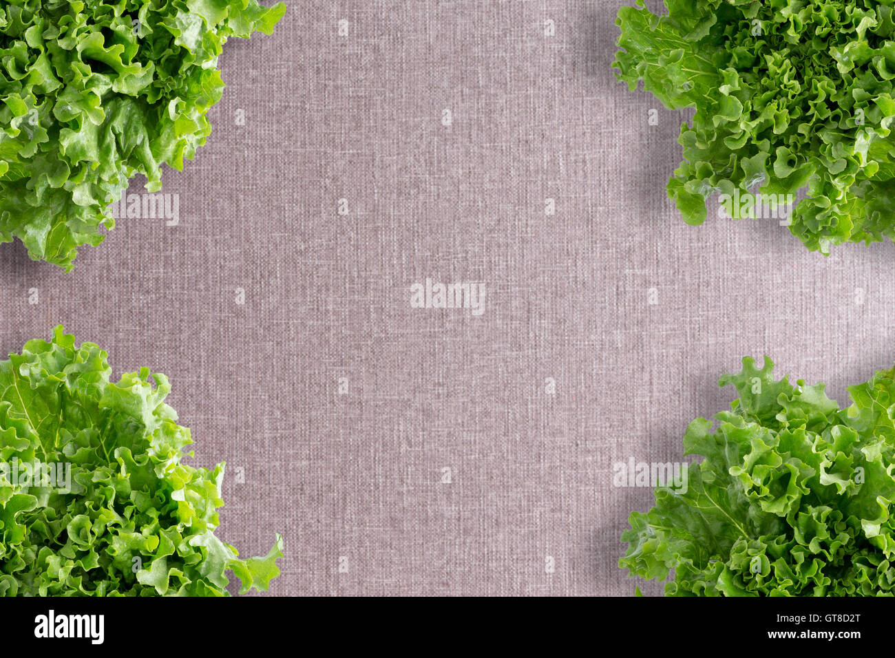 Crisp fresh frilly green lettuce corner border over a neutral beige ...
