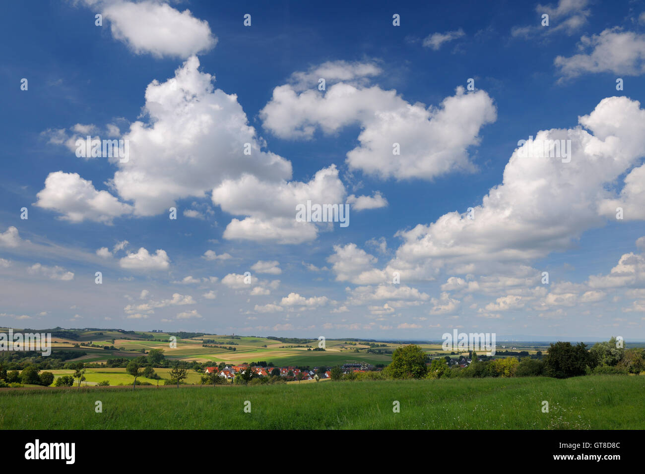 Summer Landscape, Pflaumheim, Bavaria, Germany Stock Photo - Alamy
