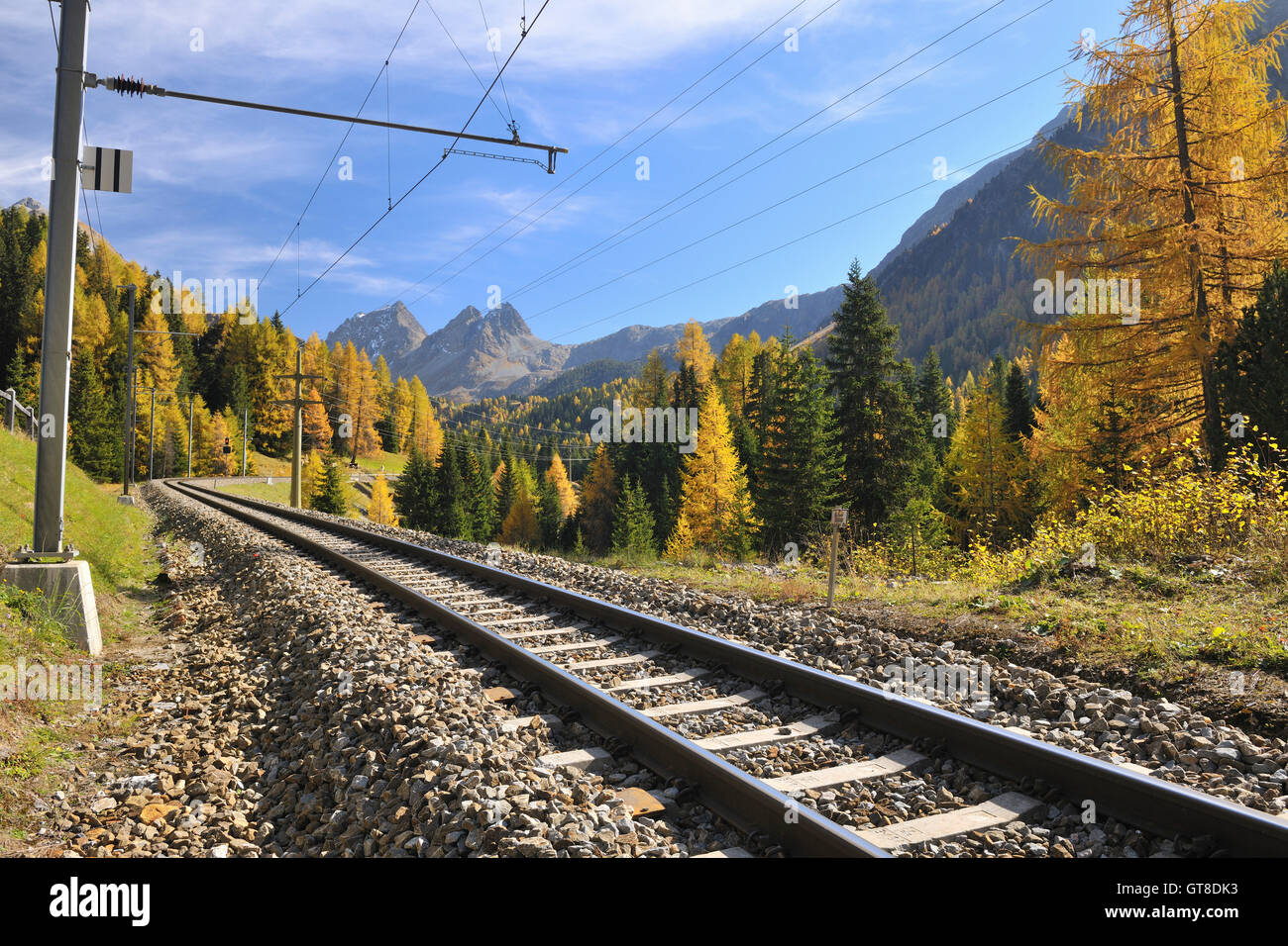 Albula line hi-res stock photography and images - Alamy