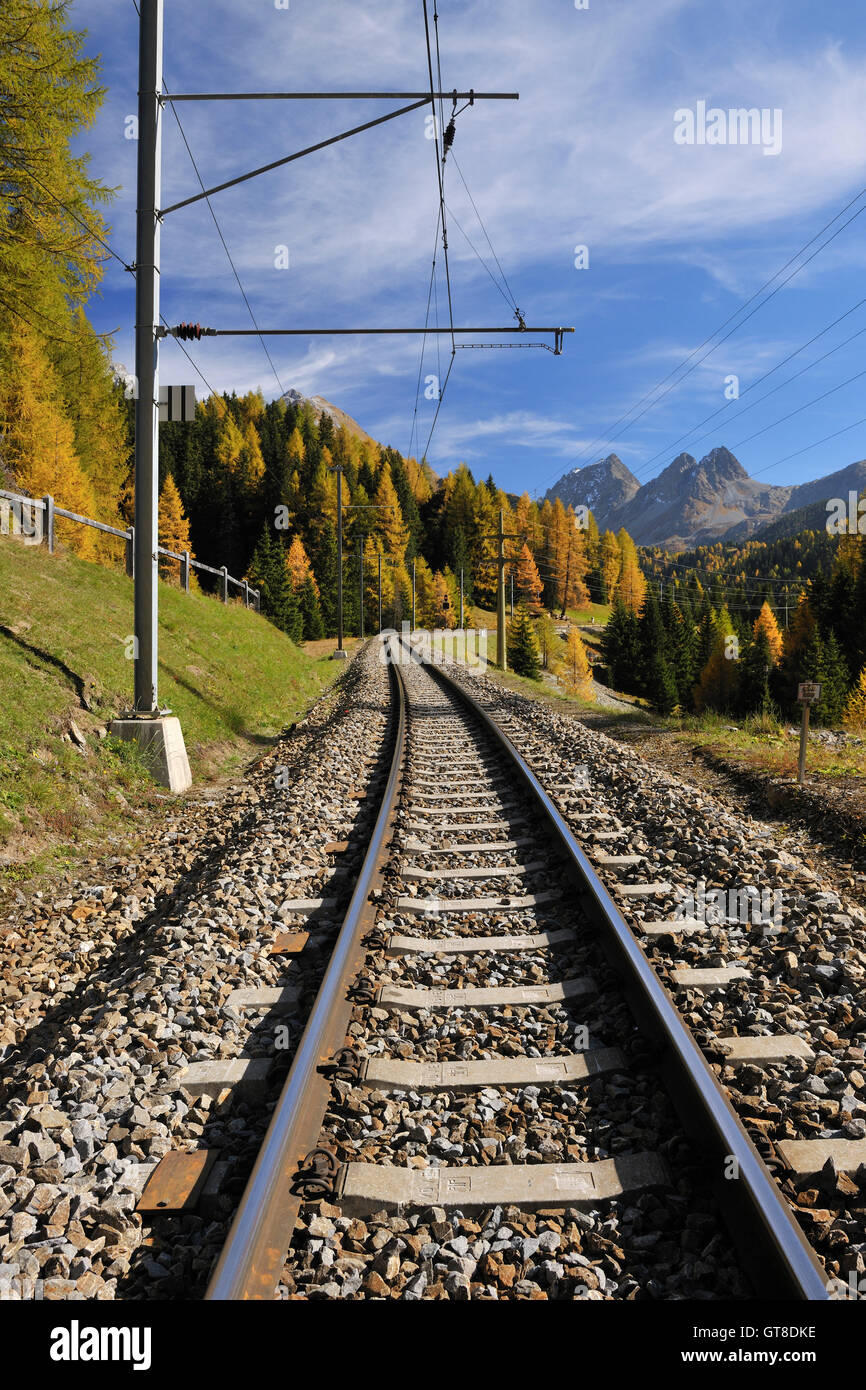 Albula line hi-res stock photography and images - Alamy