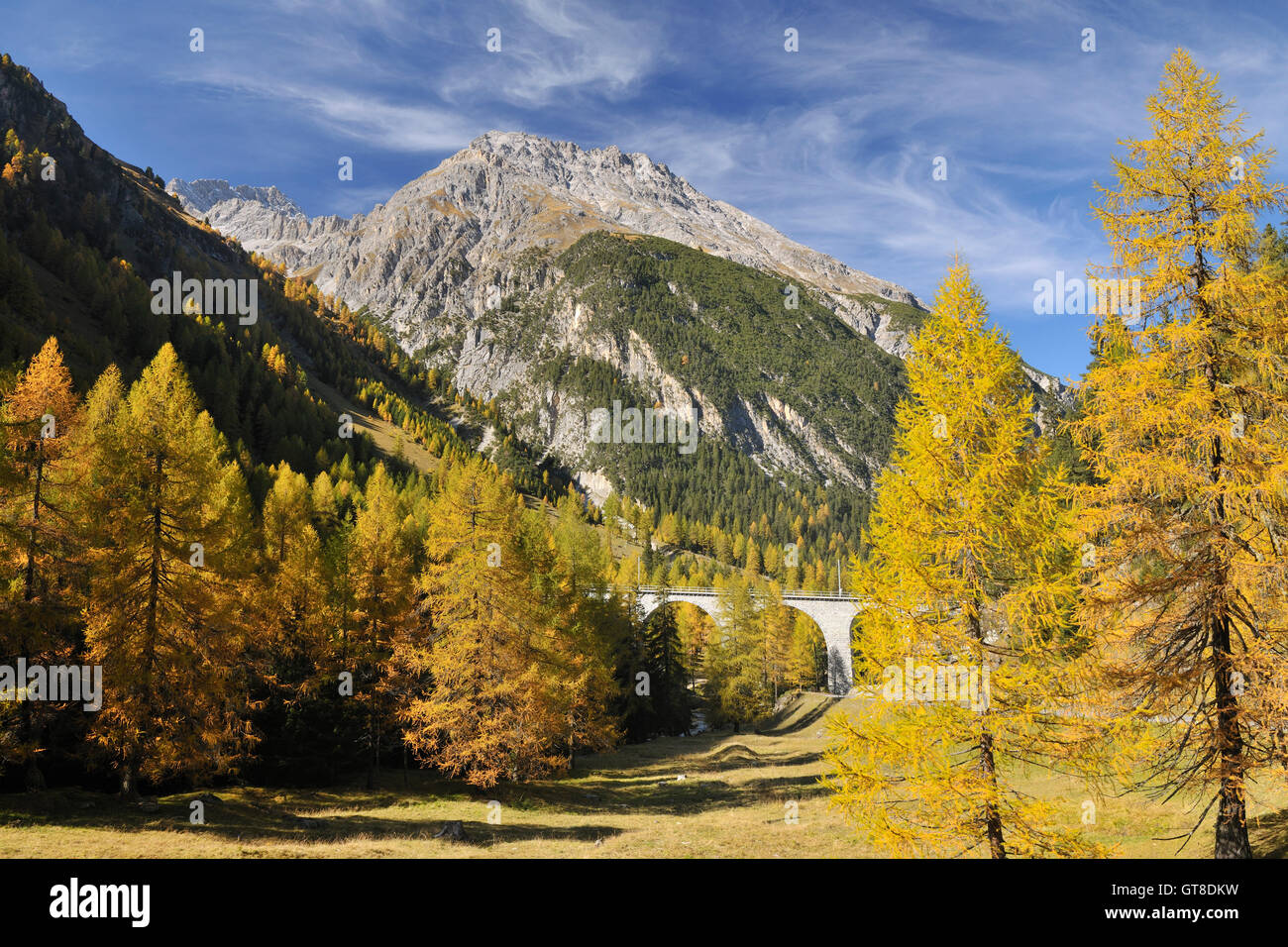Albula line hi-res stock photography and images - Alamy