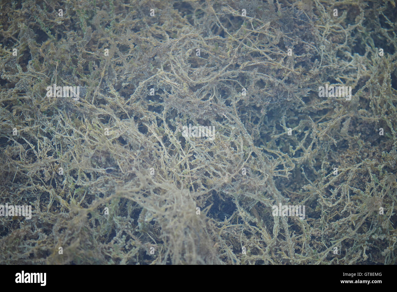 Lake bottom underwater hi-res stock photography and images - Alamy