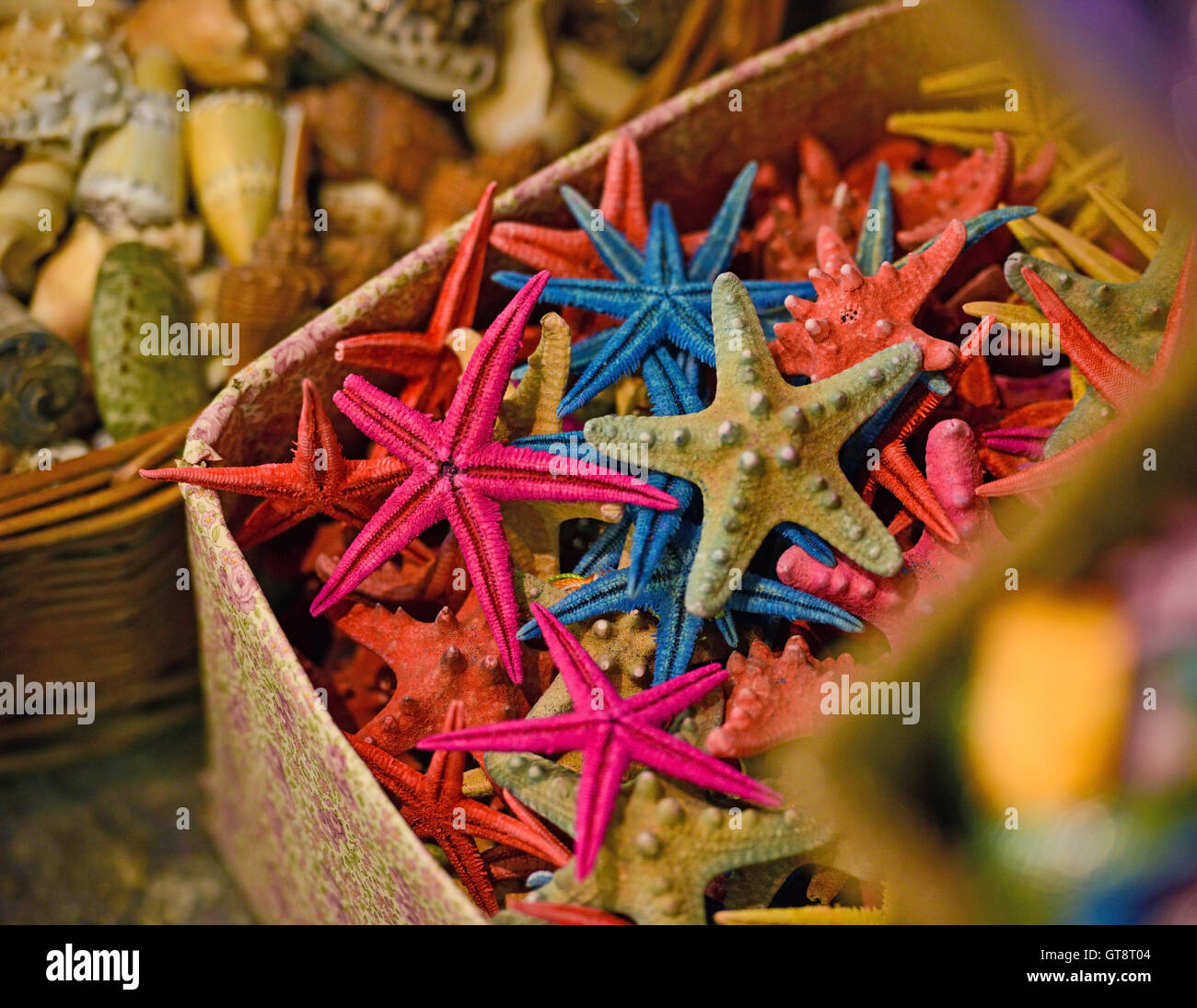 Group of colorful sea stars and shells in baskets at market Stock Photo ...