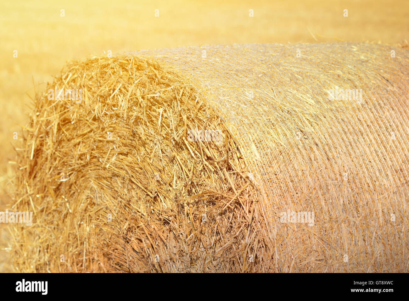 Hay roll on field Stock Photo - Alamy