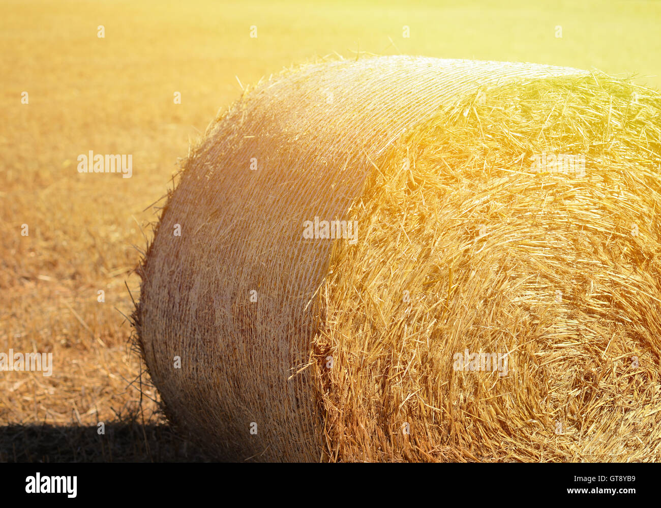 Hay roll on field Stock Photo - Alamy