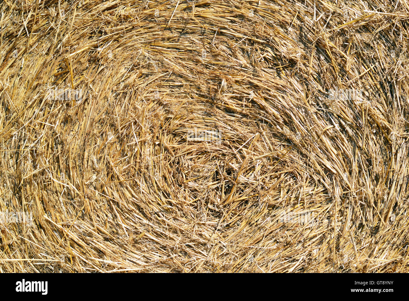 Hay stack texture Stock Photo - Alamy