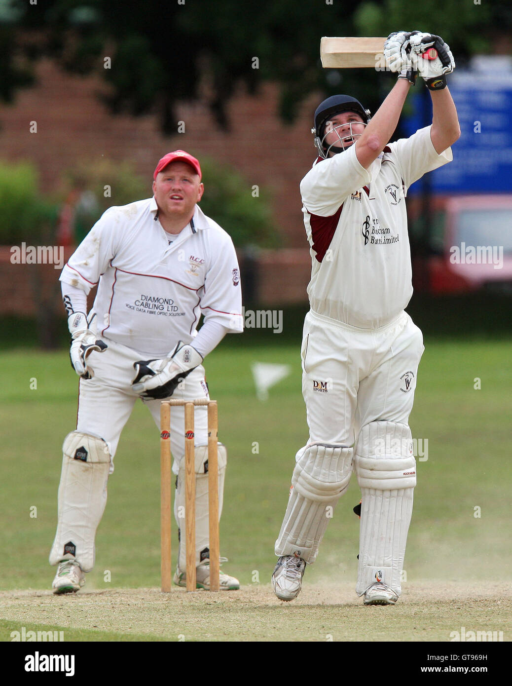 Heronians hi-res stock photography and images - Alamy