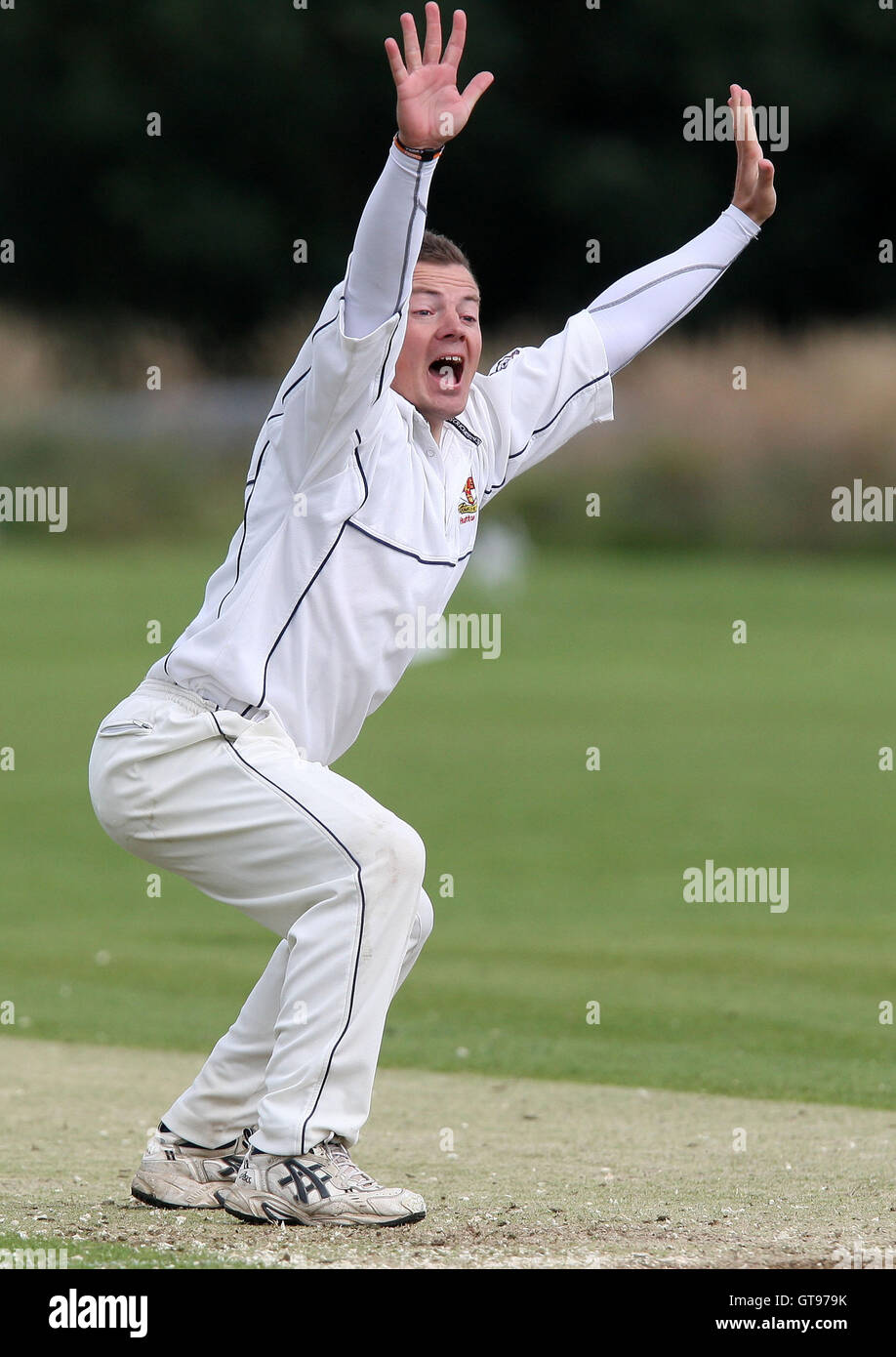 Hutton essex hi-res stock photography and images - Alamy