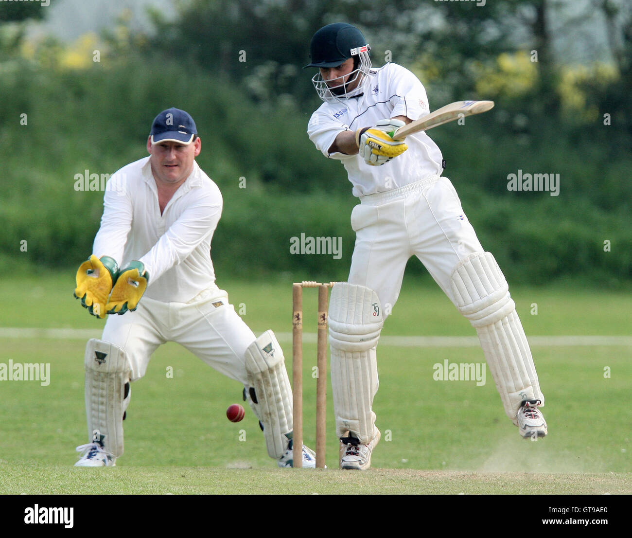 Sport cricket action wicket out hi-res stock photography and images - Alamy