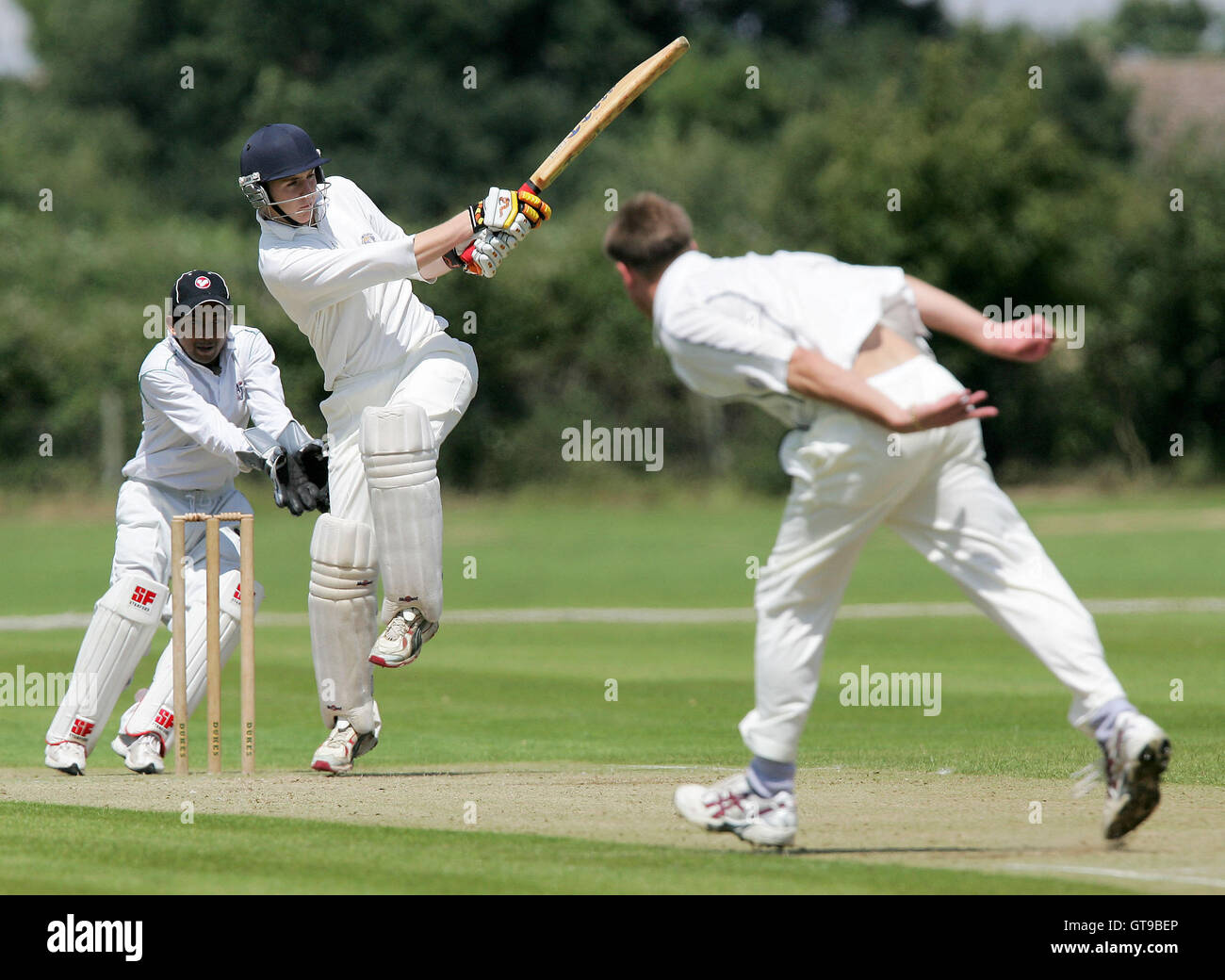 Pryke hi-res stock photography and images - Alamy