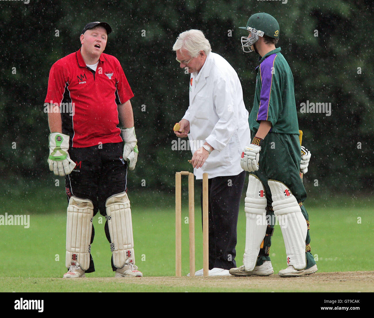 Sport cricket action stumps bails hi-res stock photography and images ...