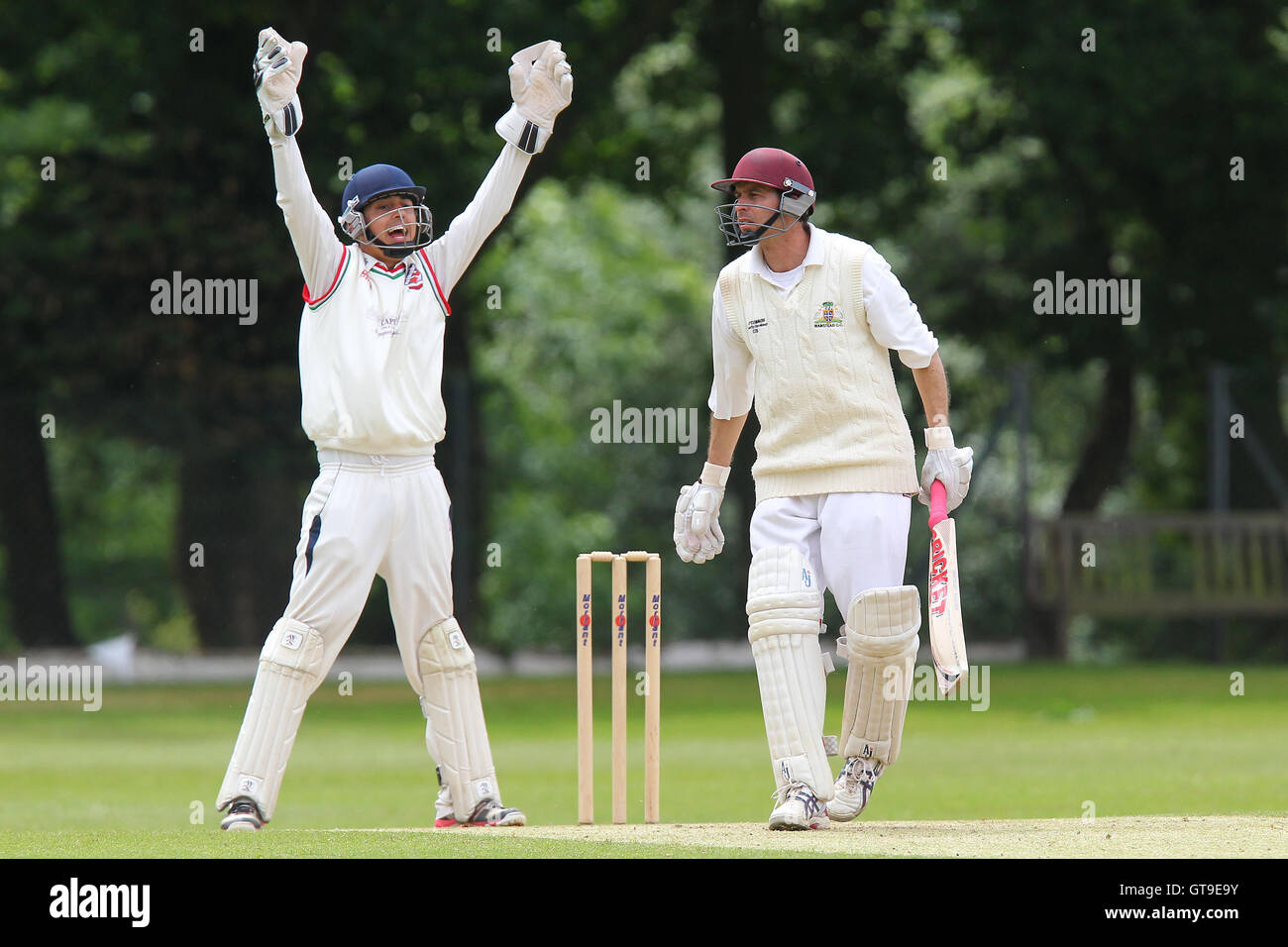 A big appeal for the wicket of John Chambers of Wanstead - Wanstead CC ...