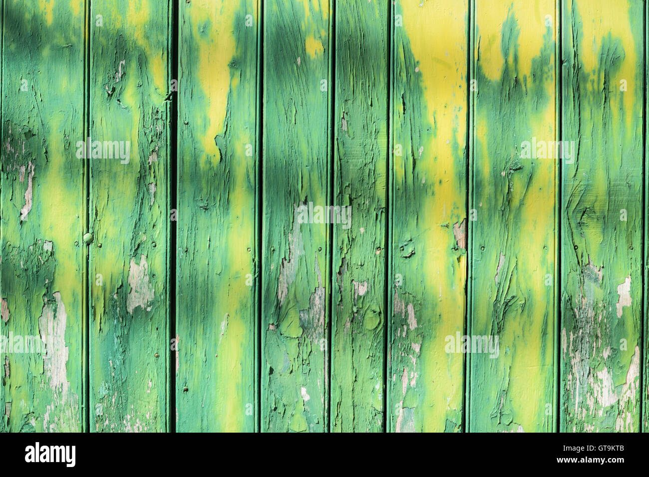 Natural green wood texture with an array of knots and ring lines Stock ...