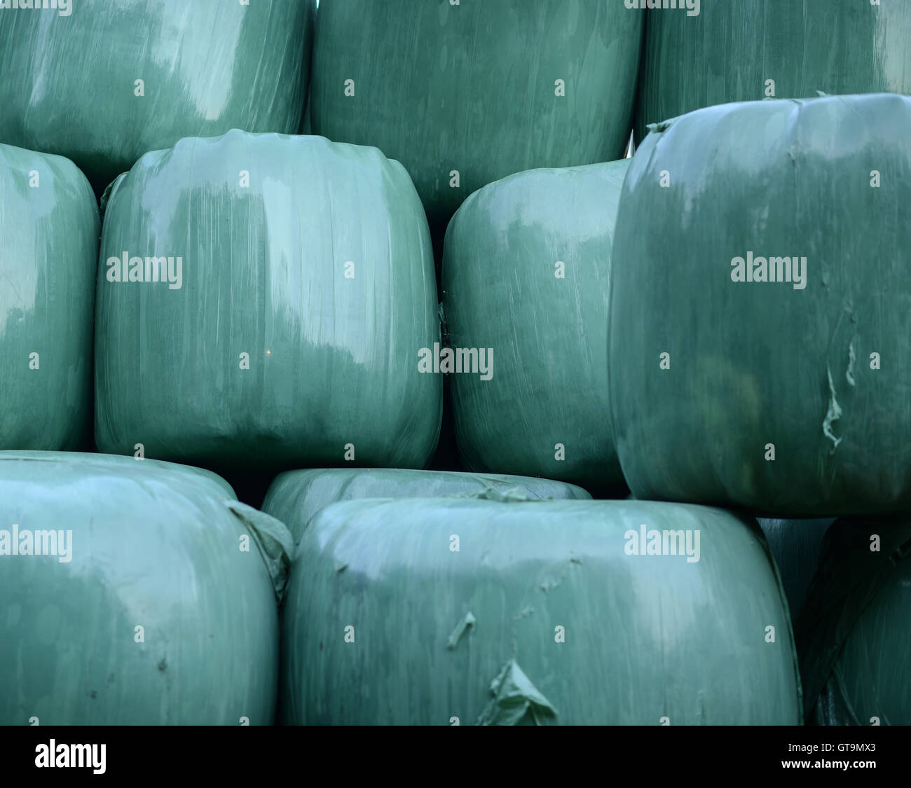 Packed hay stacks Stock Photo - Alamy